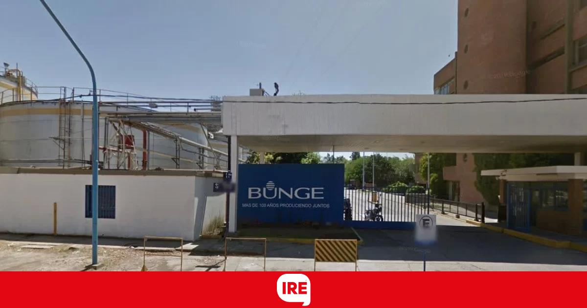 Bunge busca trabajadores para cubrir 27 vacantes para sus plantas | IRE ...
