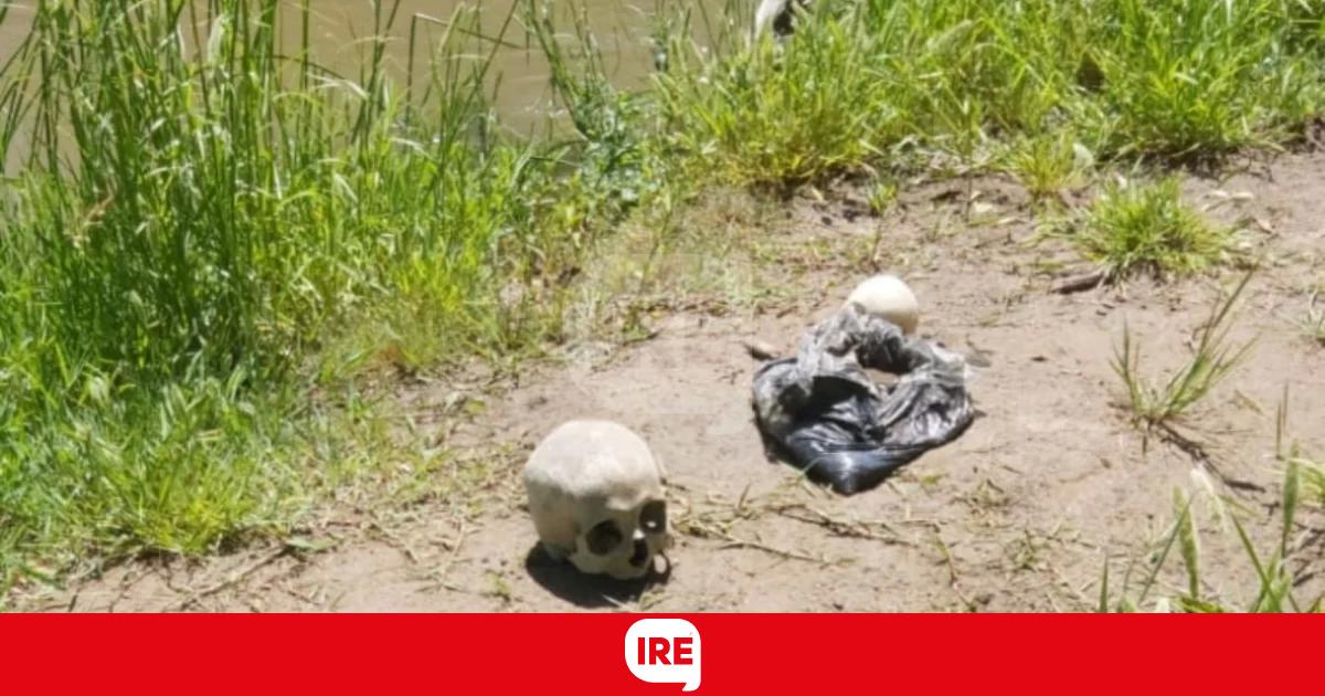 Macabro hallazgo: Detectaron huesos humanos en una isla de Parques ...